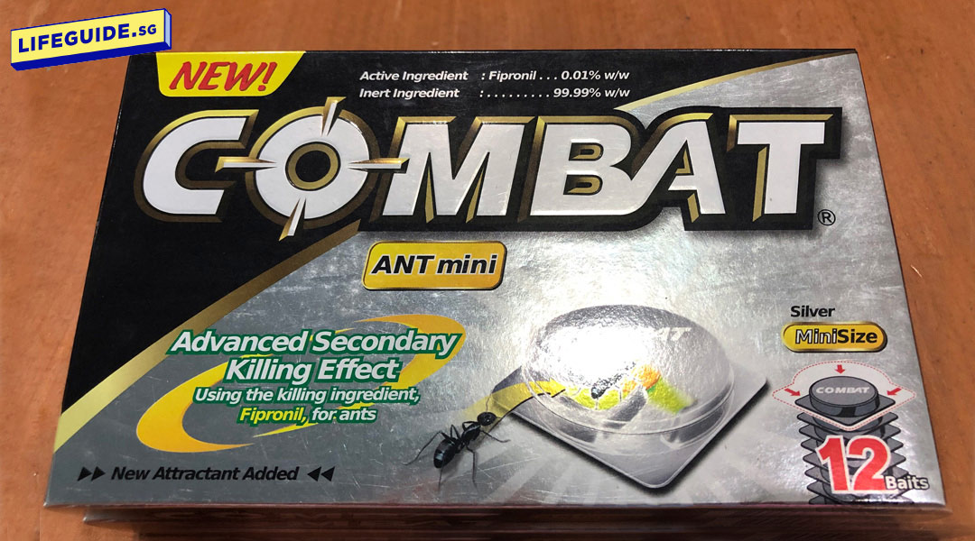 Best Way to Get Rid of Ants Effectively in Singapore – Lifeguide.sg