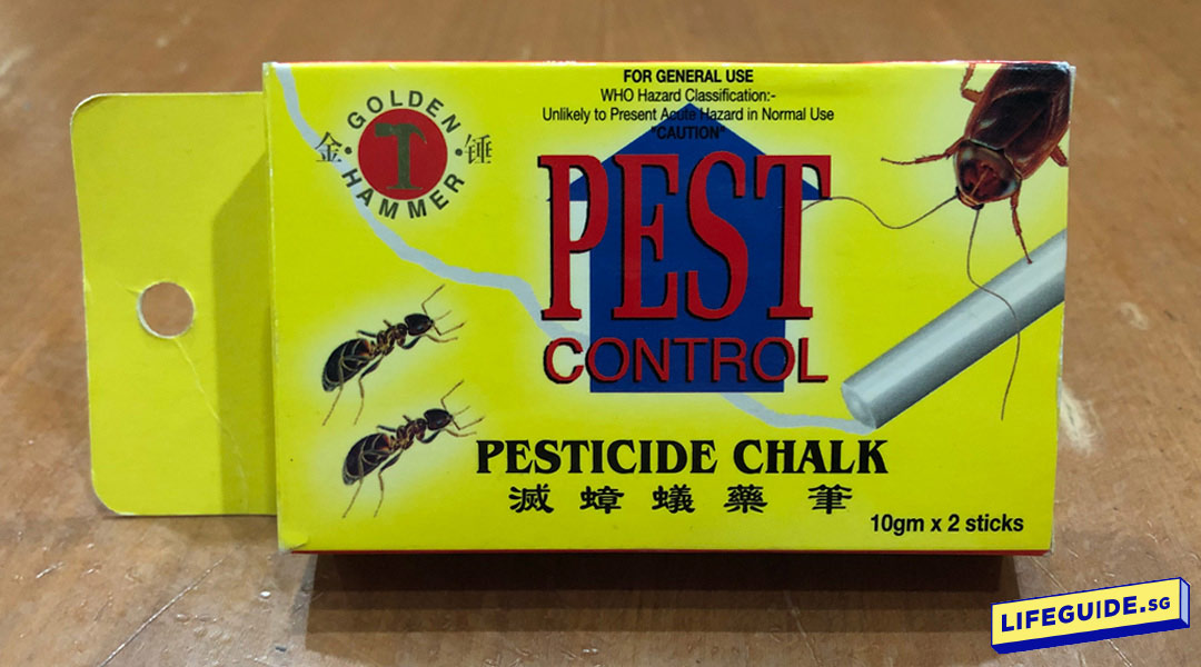 Best Way to Get Rid of Ants Effectively in Singapore – Lifeguide.sg
